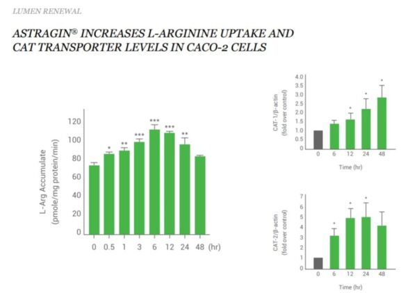 What Is AstraGin | Increase Nutrient Aborption | Time 4 Nutrition