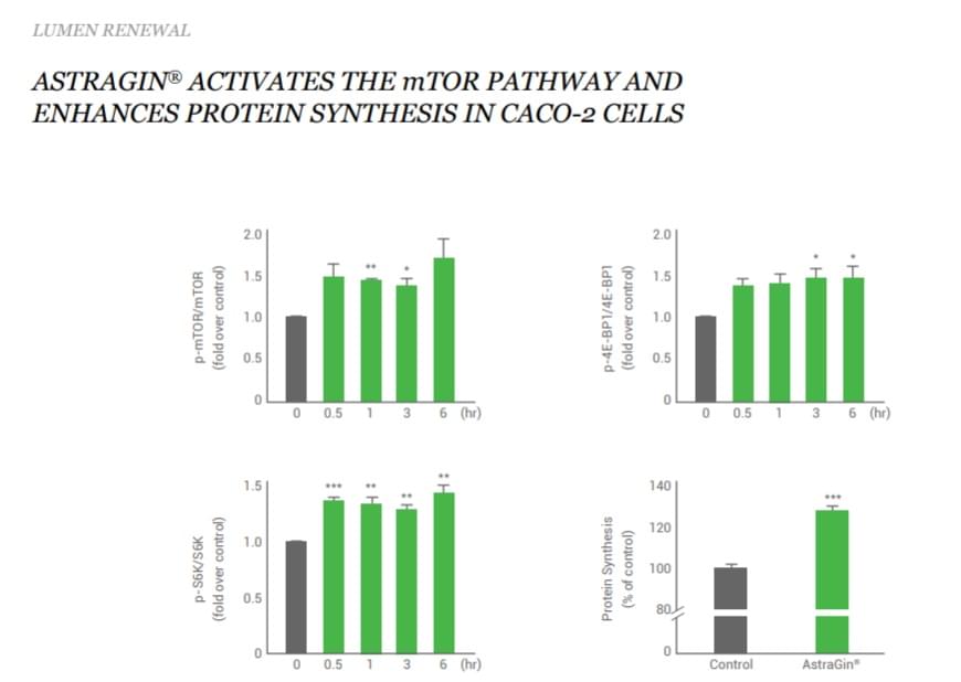 What Is AstraGin | Increase Nutrient Aborption | Time 4 Nutrition