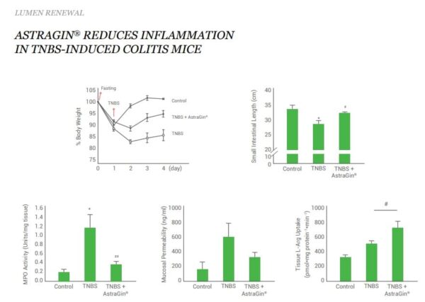 What Is AstraGin | Increase Nutrient Aborption | Time 4 Nutrition