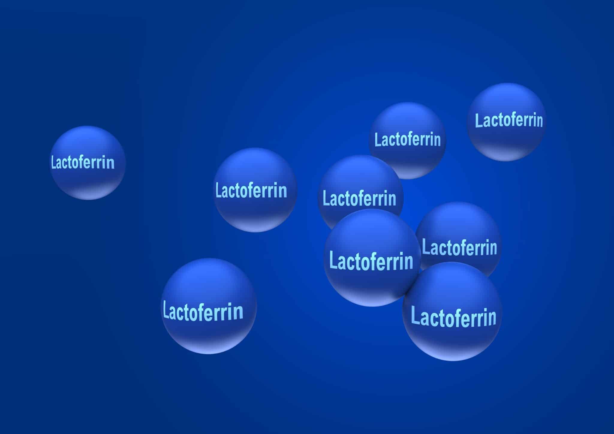 Whey Protein Benefits | Bioactive Peptides & Immunoglobulins
